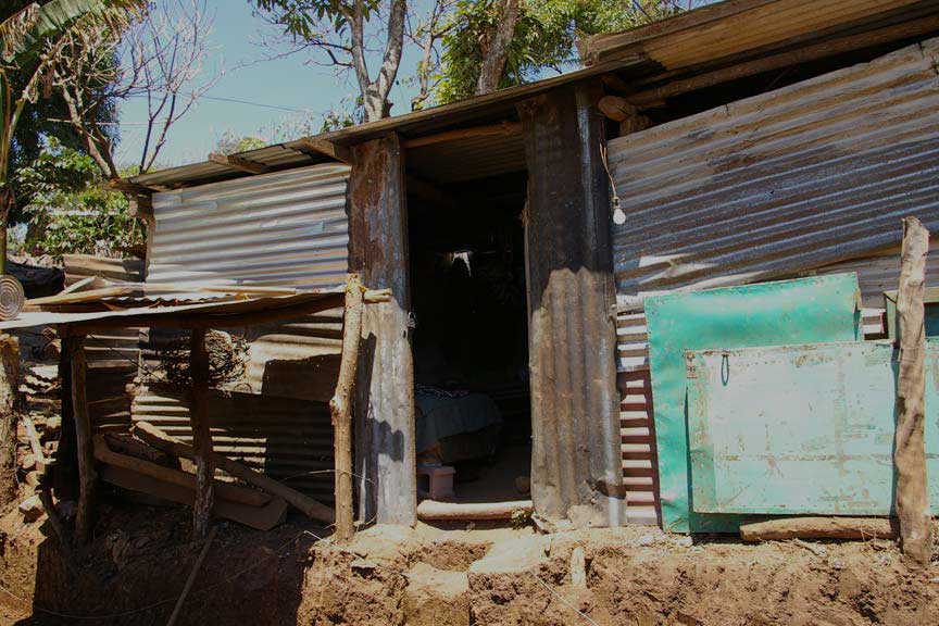 Current Projects - Saint Francis Project